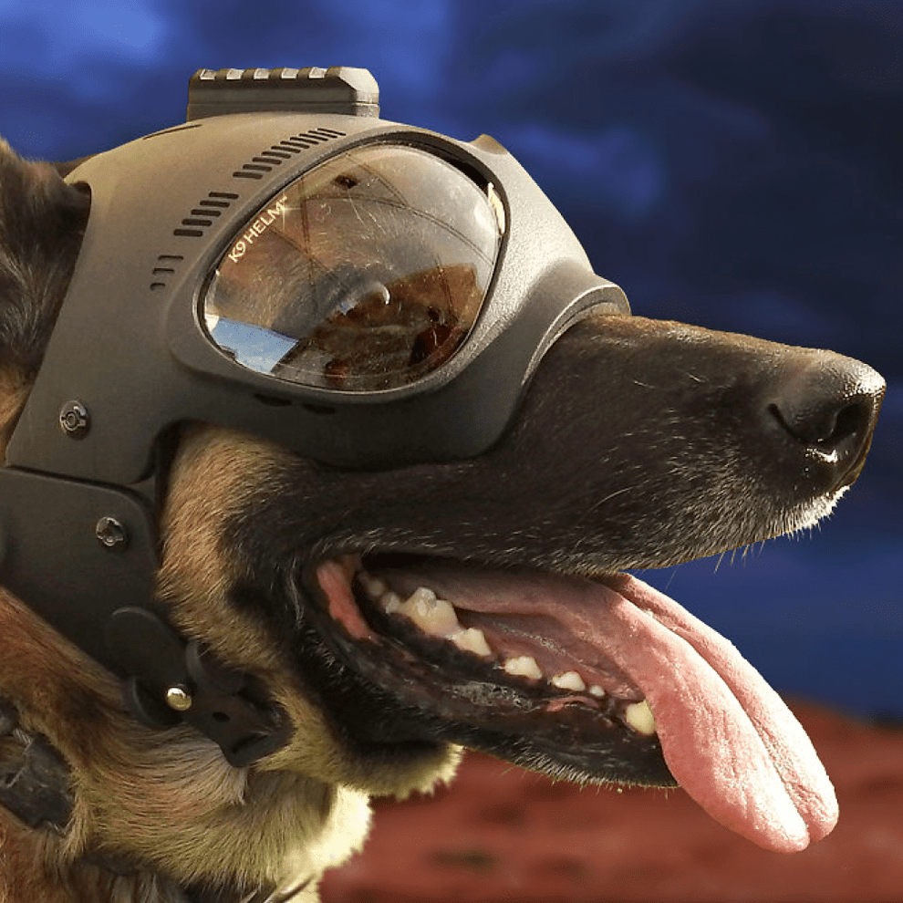 Buy K9 Tactical Helmet Online in India - DeltaTac – DeltaTac.shop